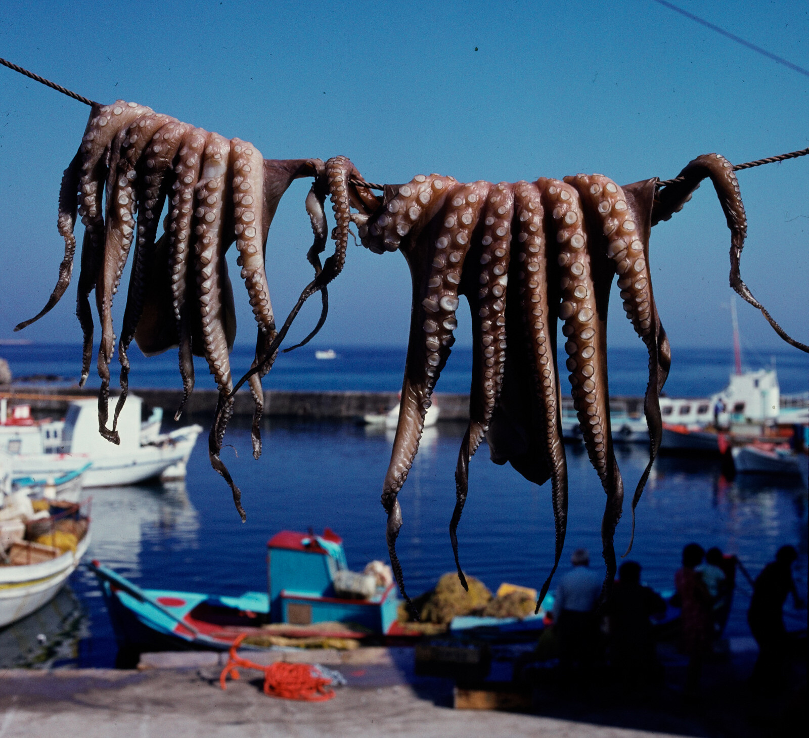 Λαβράκι και μπλου τζίν καμπάνα: Η ζωή των ψαράδων της Πάρου το '70 | LiFO
